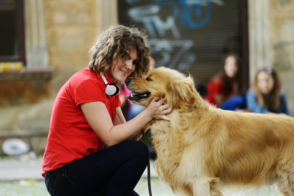 The Incredible Canine Detectives: Unveiling the World of Medical Alert ...